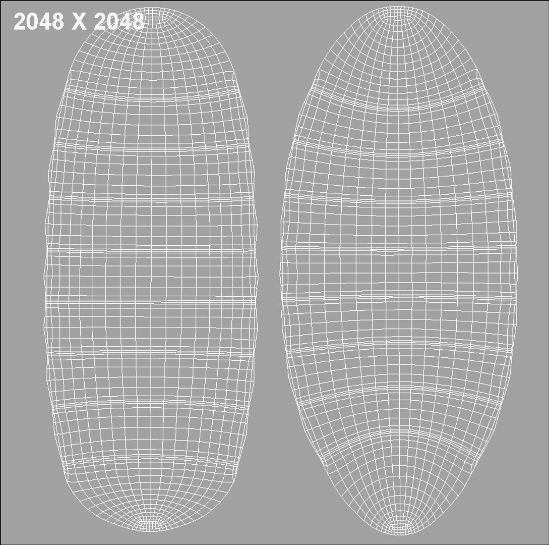 Decomposers Organisms Decaying 3d Obj