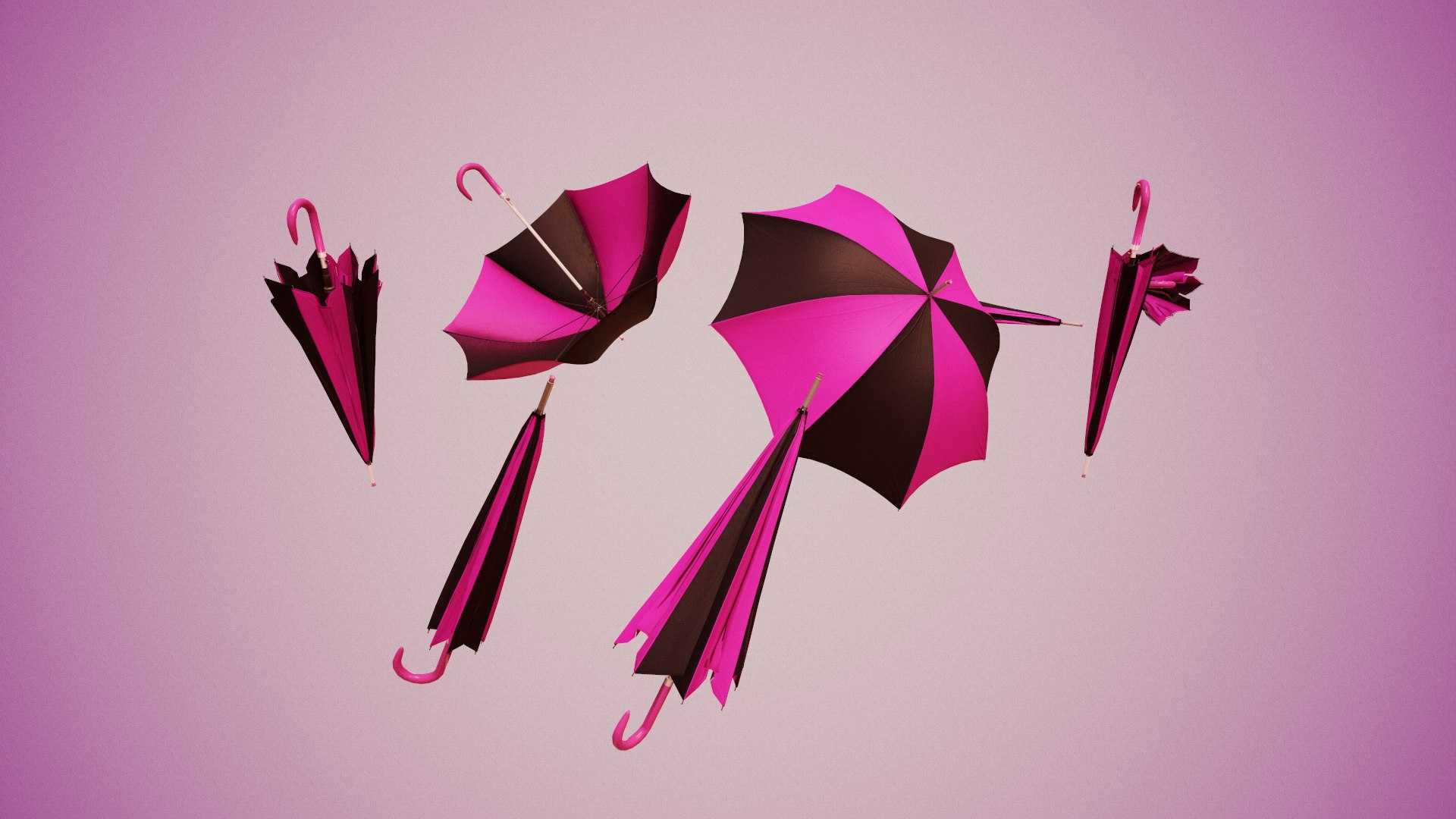 3D Umbrella Animated Model - TurboSquid 1836643
