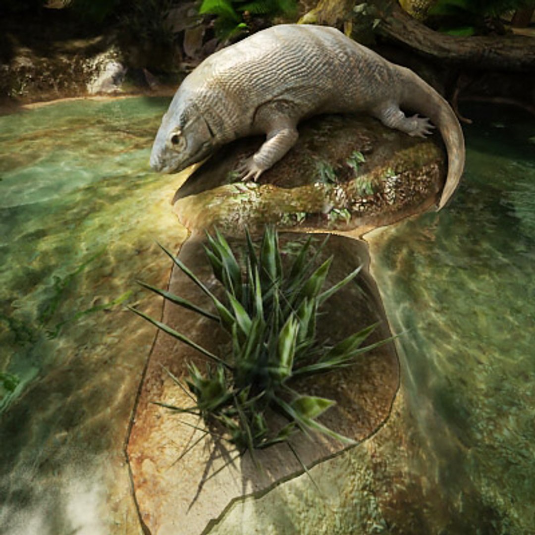 Evolution Scene 3d Model