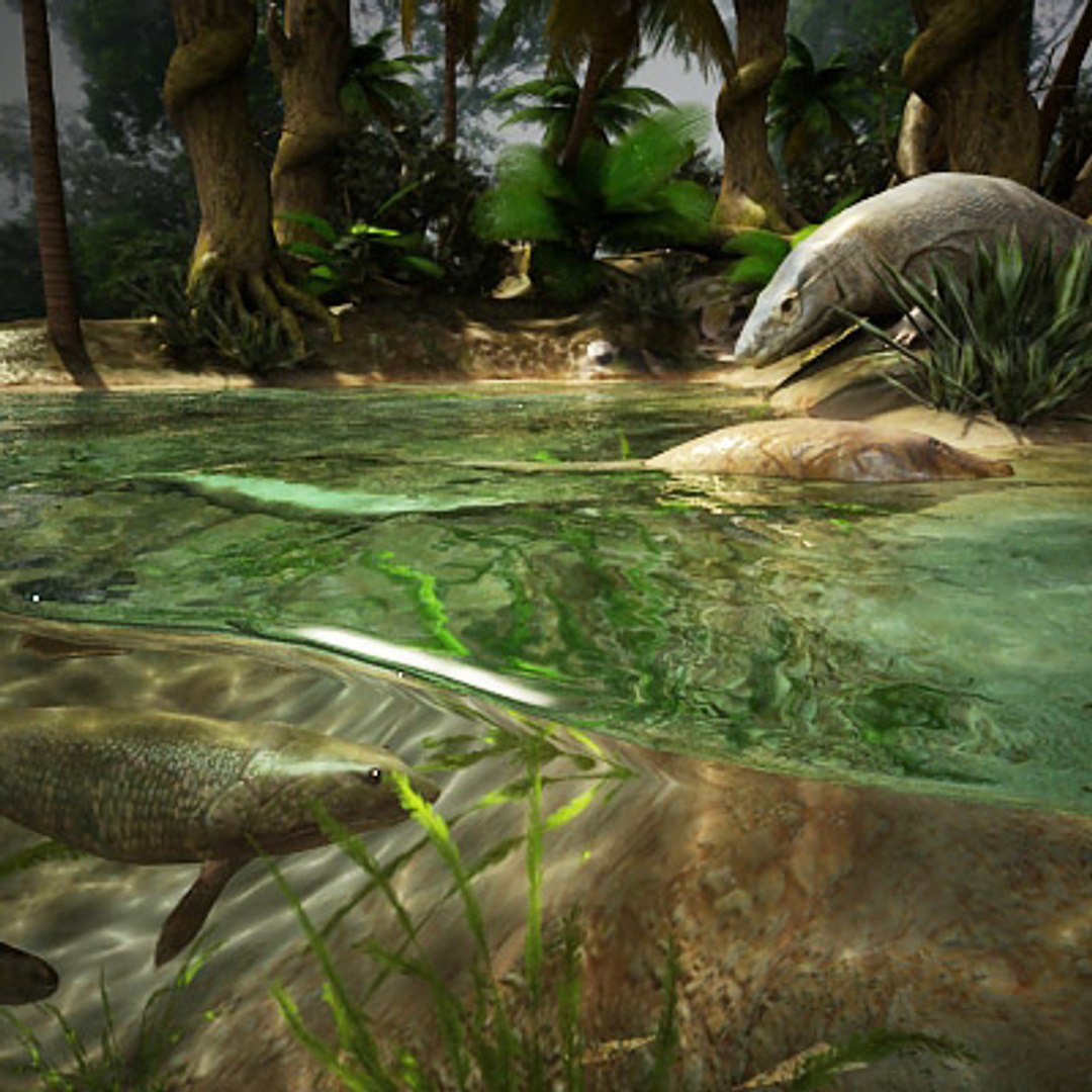 Evolution Scene 3d Model