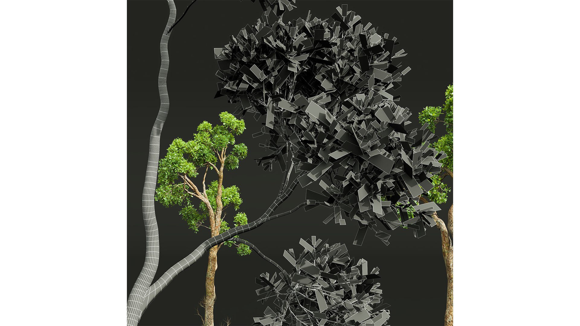 3D Model New Plant High Detail Cinnamomum Camphora Decorative ...