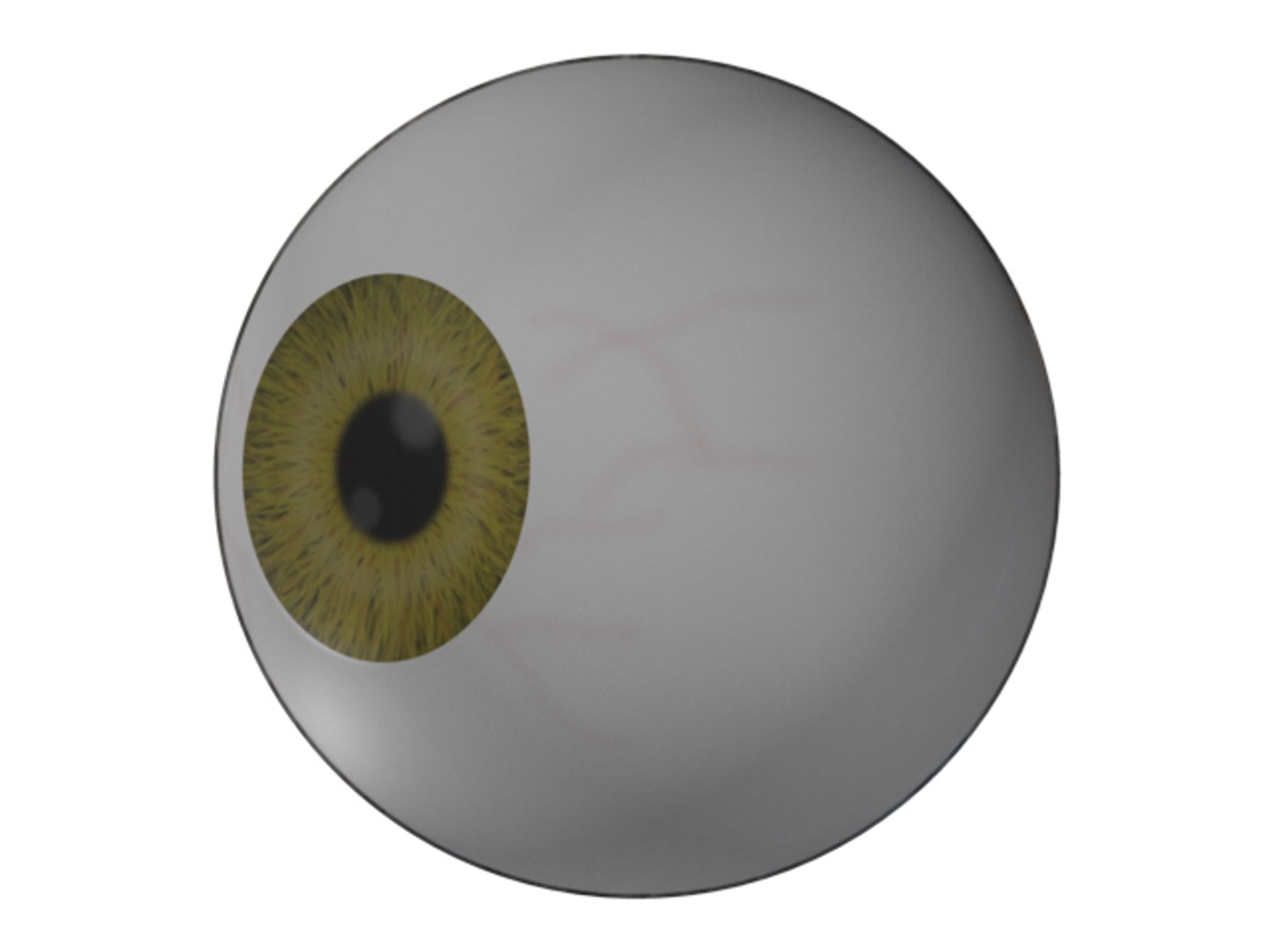 maya eyes