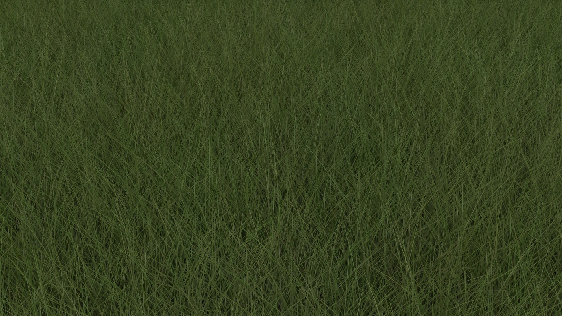 Grasses Set 3D model - TurboSquid 1802747