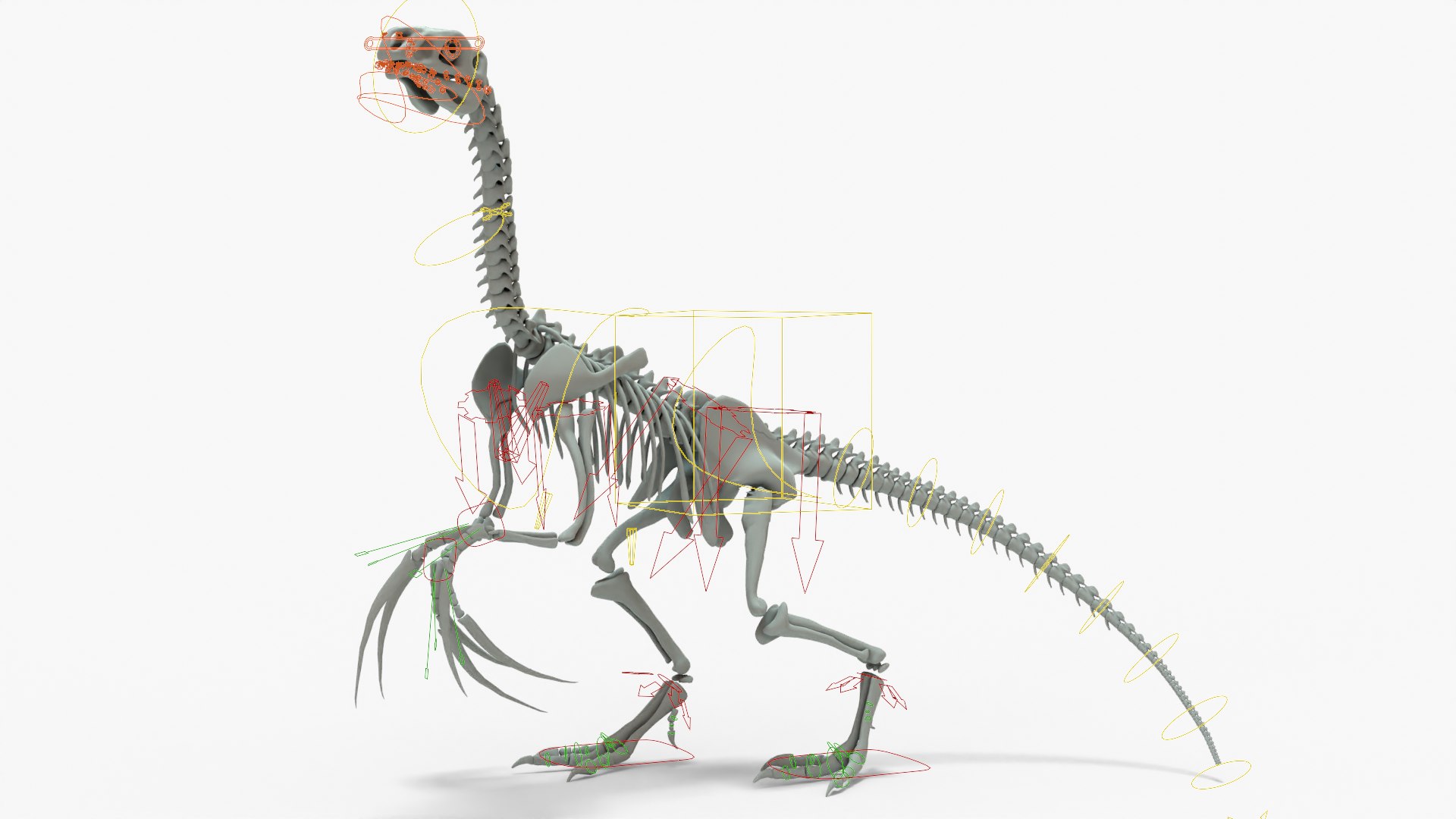 3D Therizinosaurus Rigged Basemesh Skeleton - TurboSquid 2109451