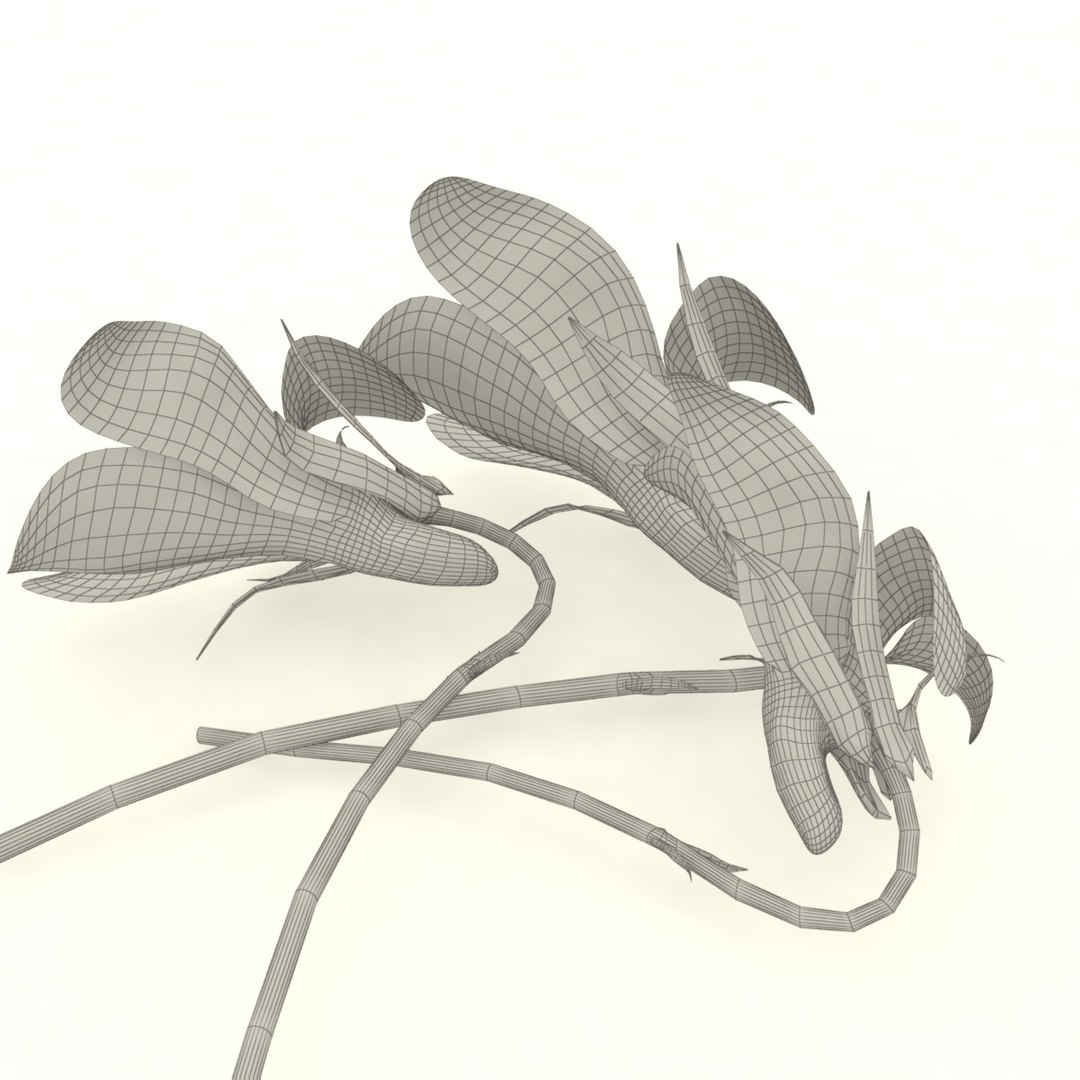 3D Model Violet Flower Plant Aroma - TurboSquid 1679922