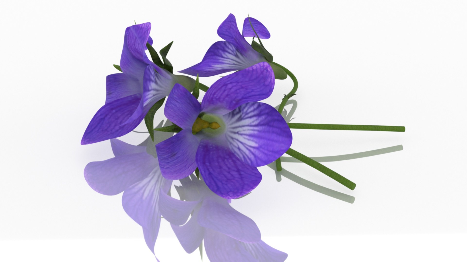 3D Model Violet Flower Plant Aroma - TurboSquid 1679922