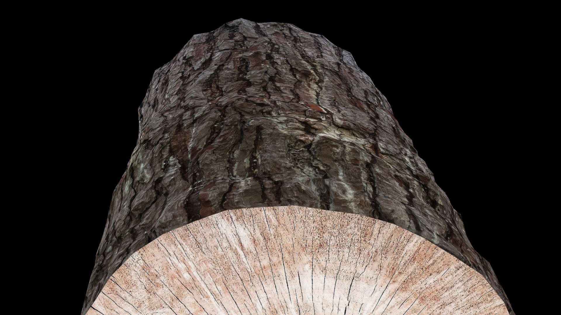 Free Wooden Log 8K 3D - TurboSquid 1952830