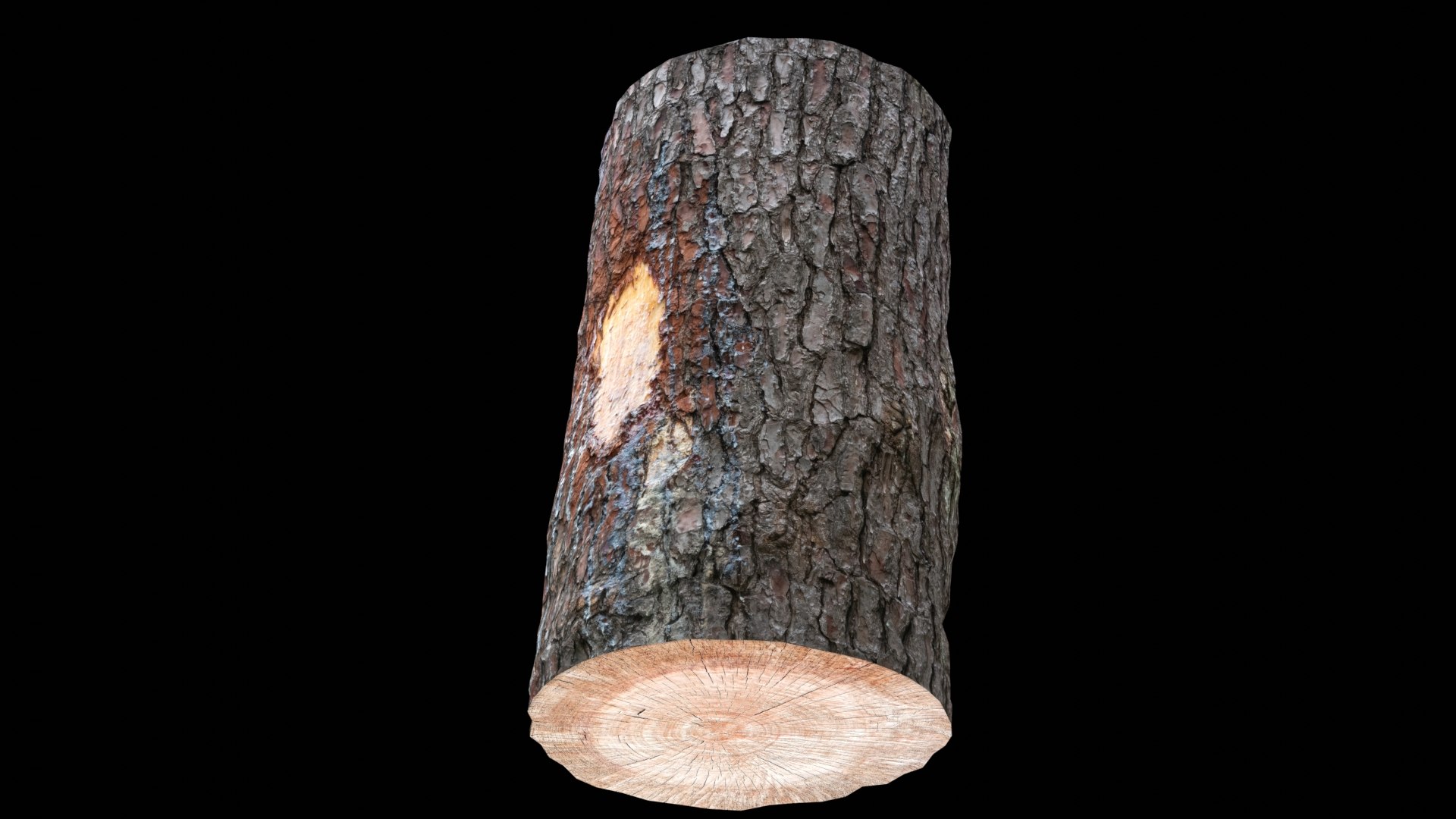 Free Wooden Log 8K 3D - TurboSquid 1952830