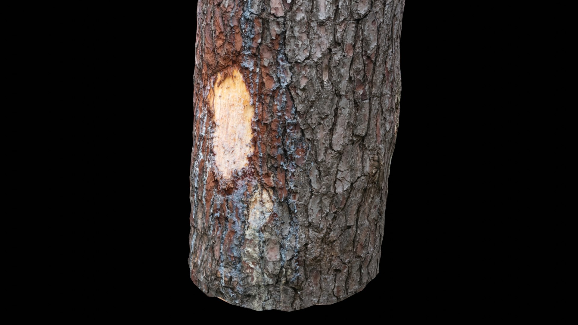 Free Wooden Log 8K 3D - TurboSquid 1952830