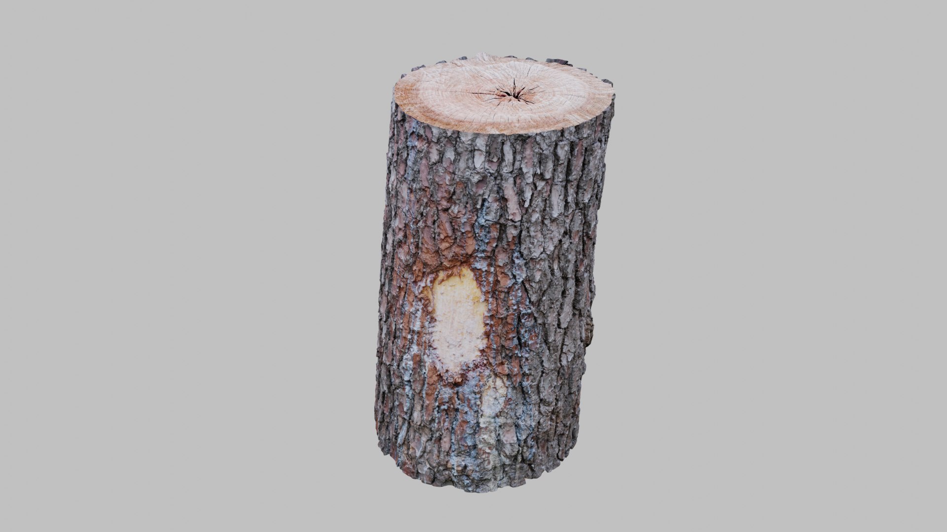 Free Wooden Log 8K 3D - TurboSquid 1952830