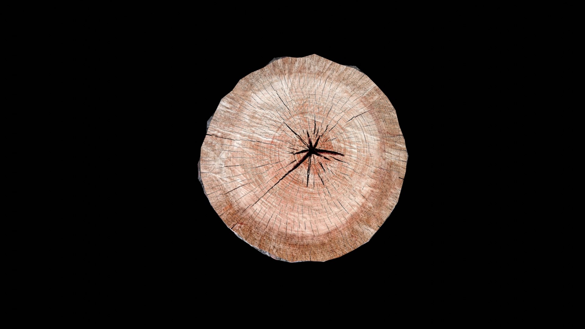 Free Wooden Log 8K 3D - TurboSquid 1952830