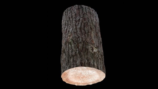 Free Wooden Log 8K 3D - TurboSquid 1952830