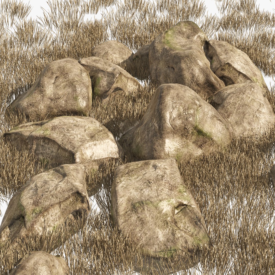 3D Granite Rock Stones With Dry Grass Terrain Model - TurboSquid 1923992