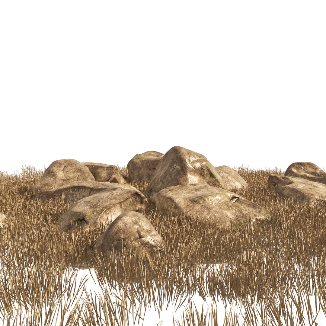 3D Granite Rock Stones With Dry Grass Terrain Model - TurboSquid 1923992