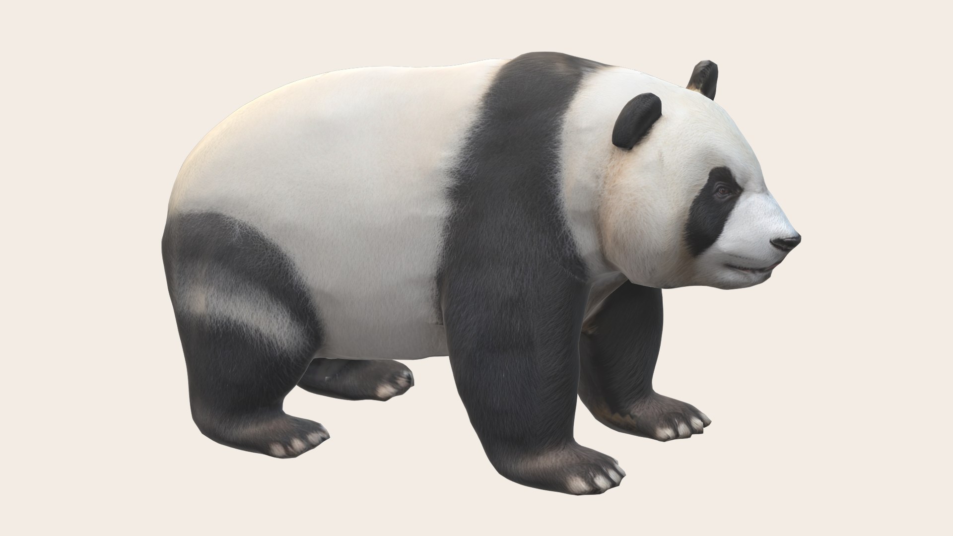 3D Giant Panda Model - TurboSquid 2230769