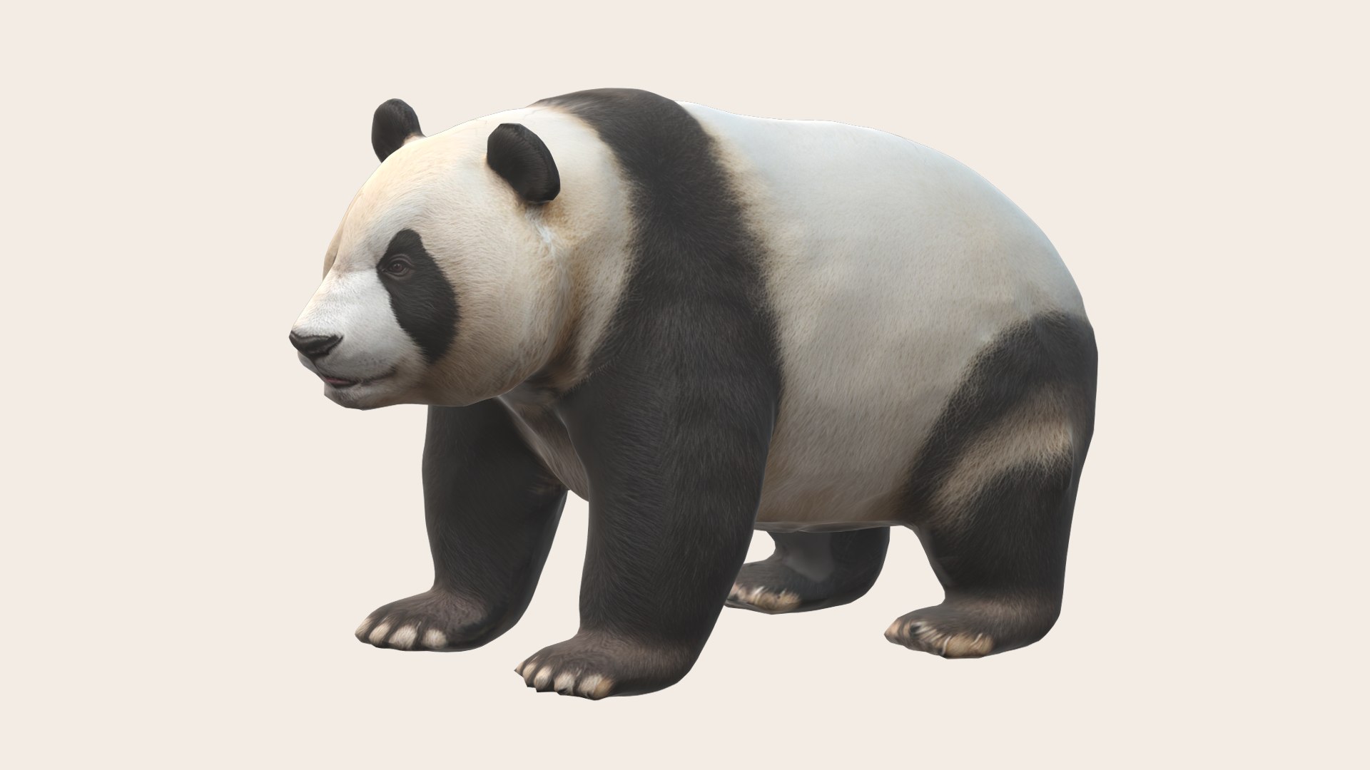 3D Giant Panda Model - TurboSquid 2230769