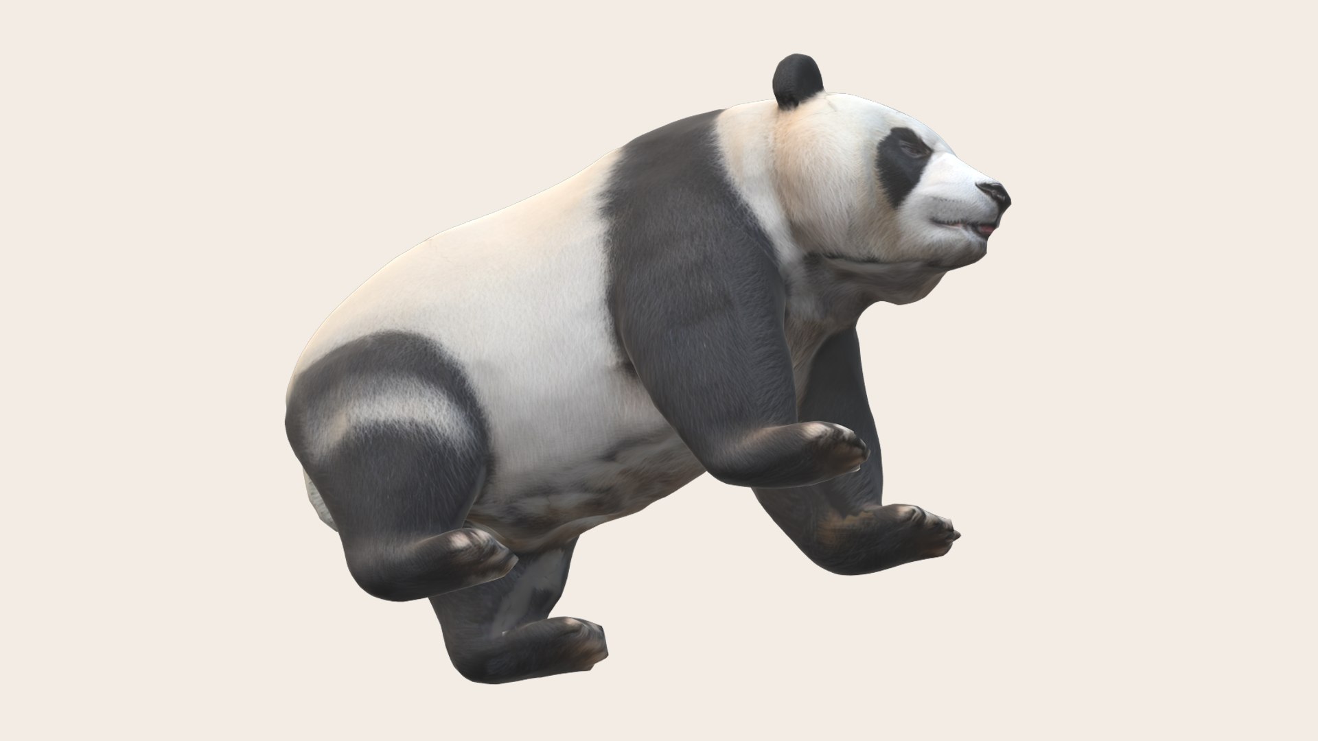 3D Giant Panda Model - TurboSquid 2230769