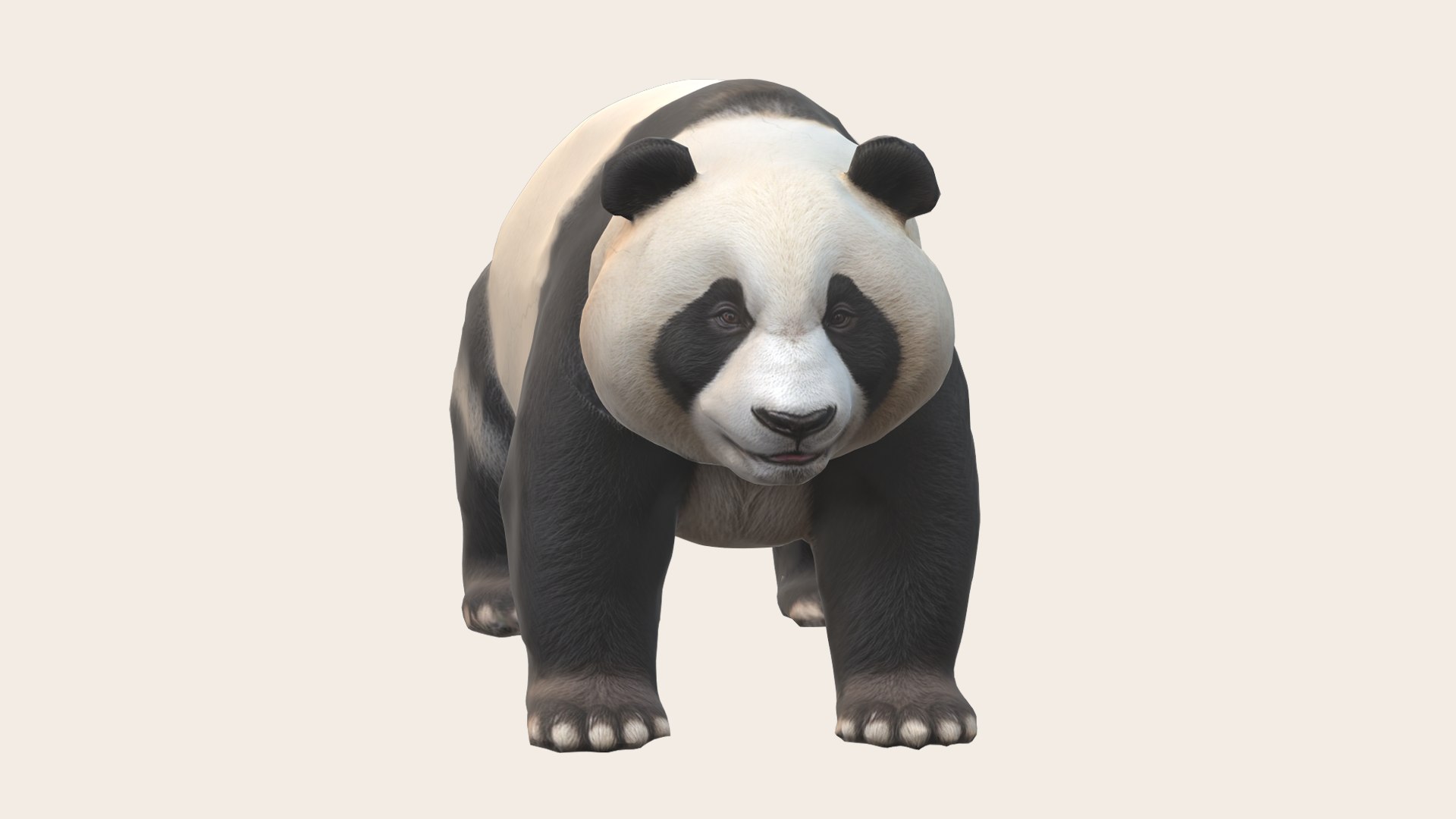 3D Giant Panda Model - TurboSquid 2230769