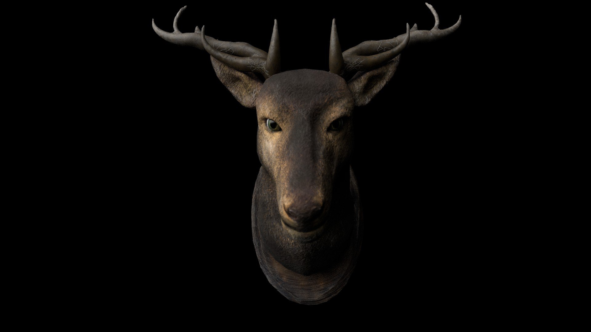 3D Deer Head Model - TurboSquid 1749664