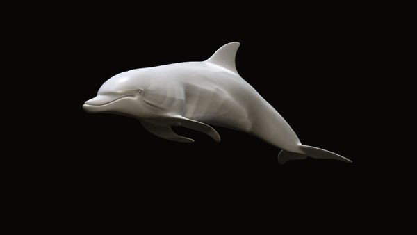 3D beautiful common bottlenose dolphin model - TurboSquid 1476607