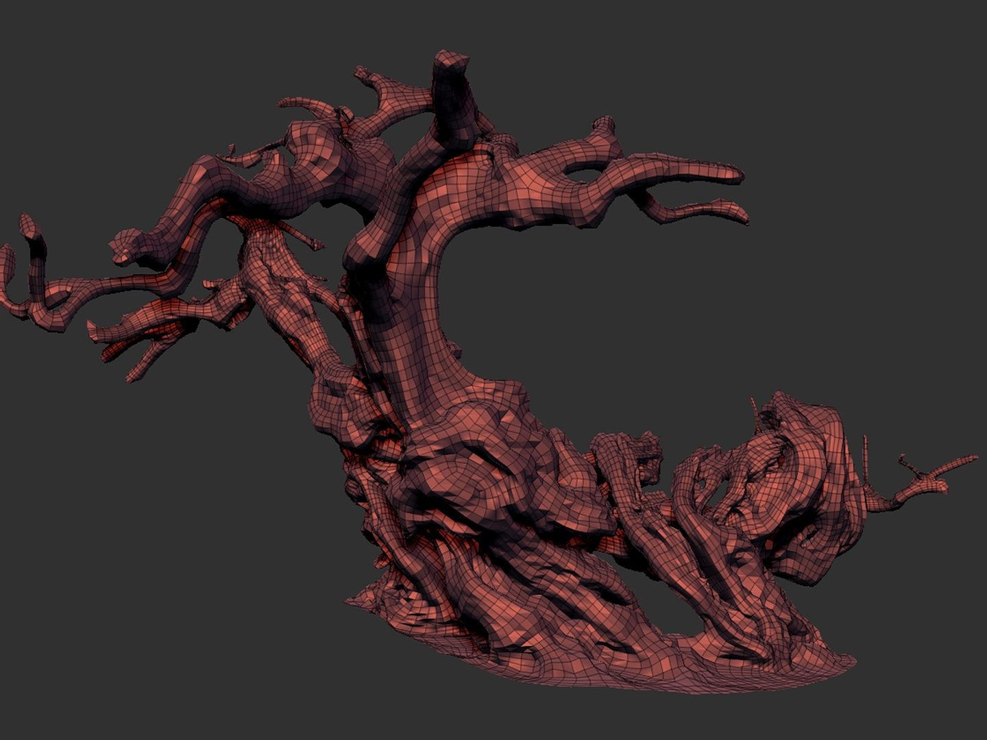3D A Thousand-year-old Olive Tree - TurboSquid 2290032
