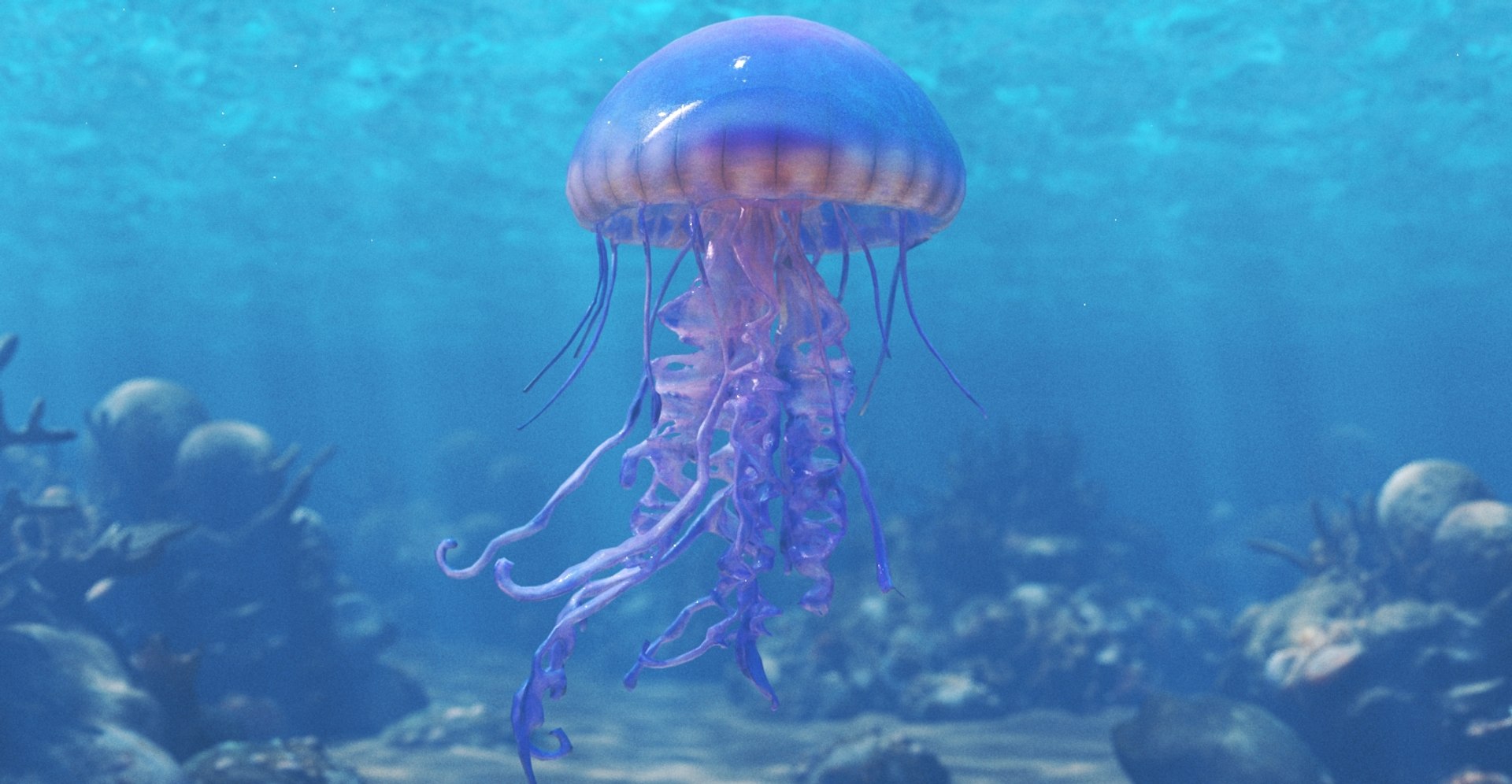 3D Fish Marine Life Pack - TurboSquid 2337886