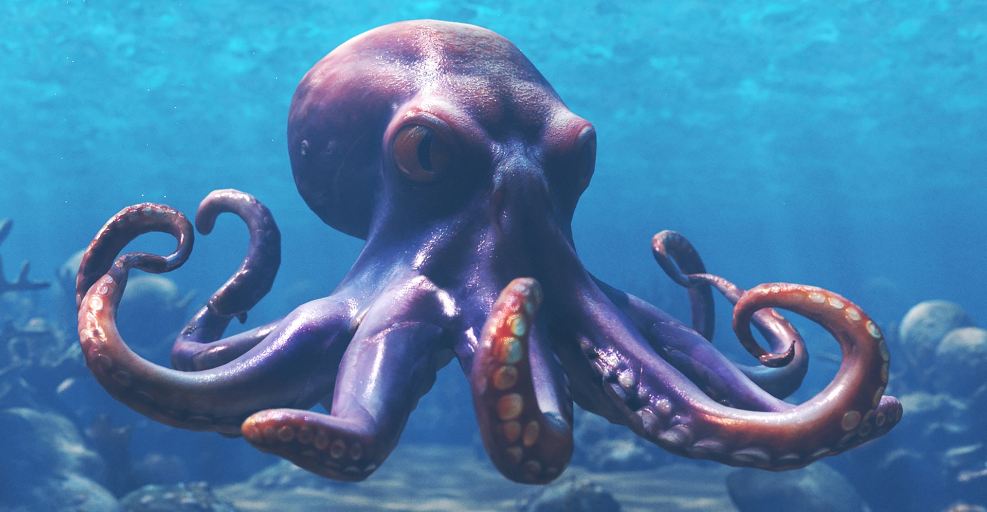 3D Fish Marine Life Pack - TurboSquid 2337886