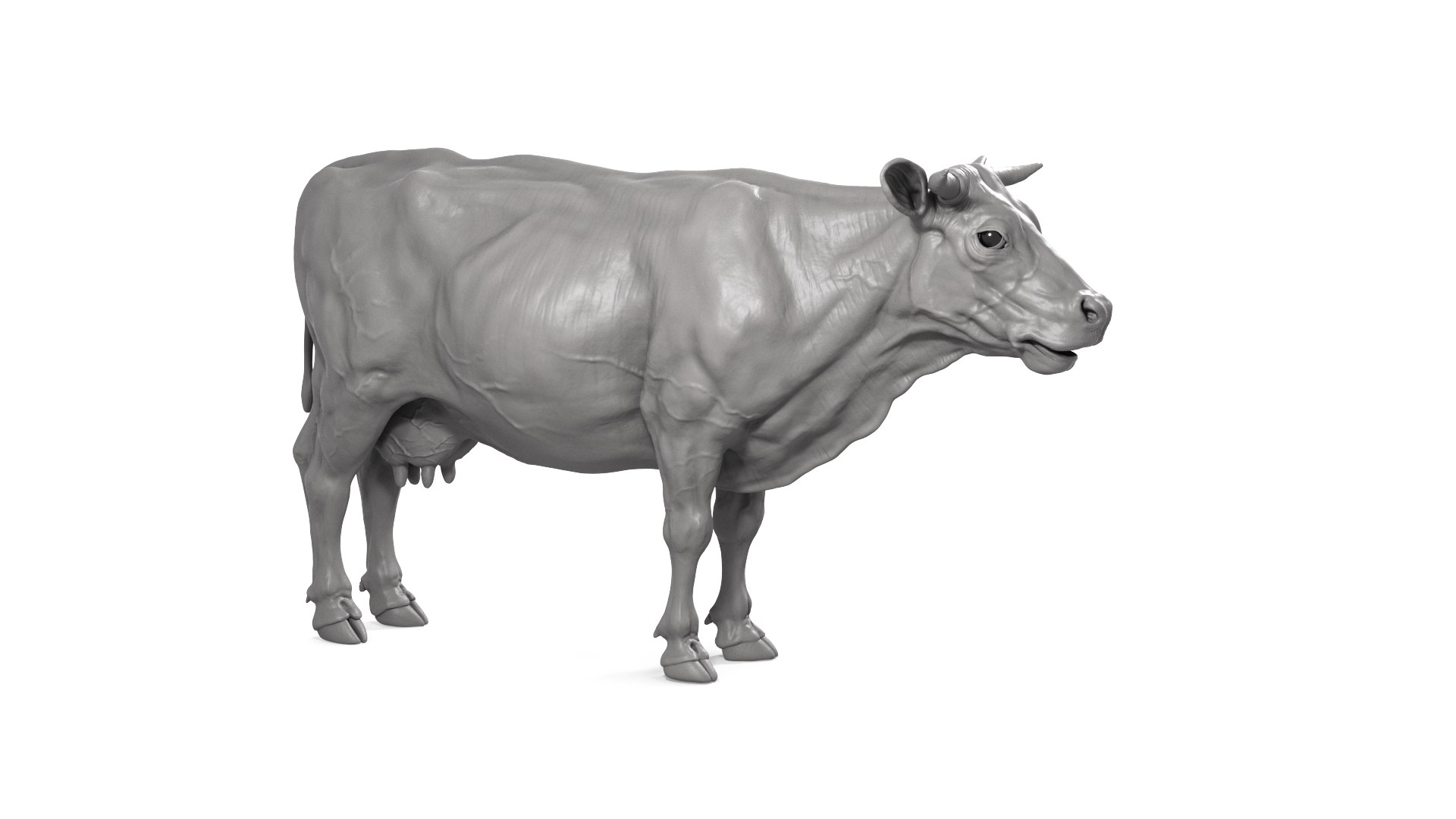 3D Cow Model - TurboSquid 2239142