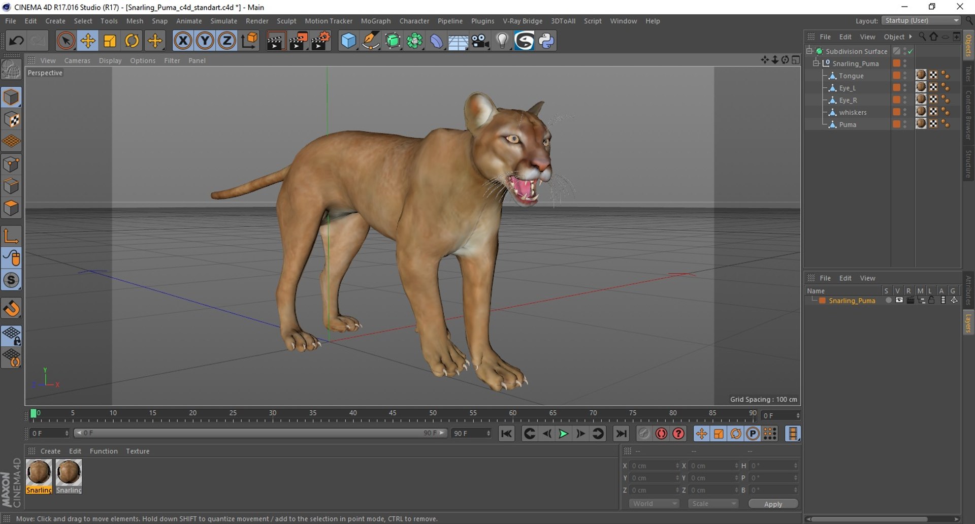 Snarling Puma Model - TurboSquid 2230666