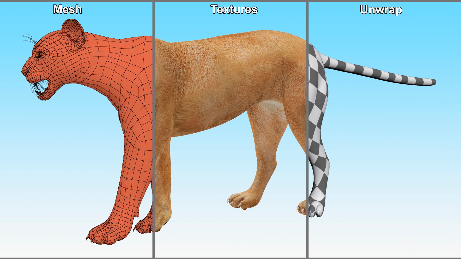 Snarling Puma Model - TurboSquid 2230666