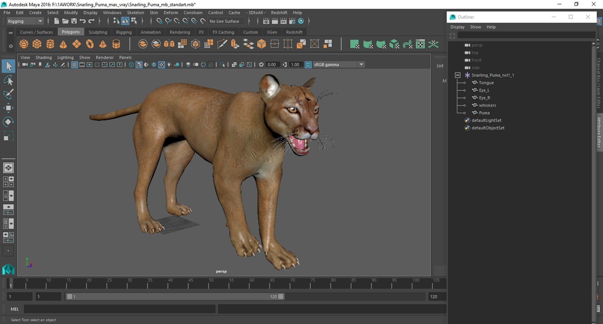Snarling Puma Model - TurboSquid 2230666