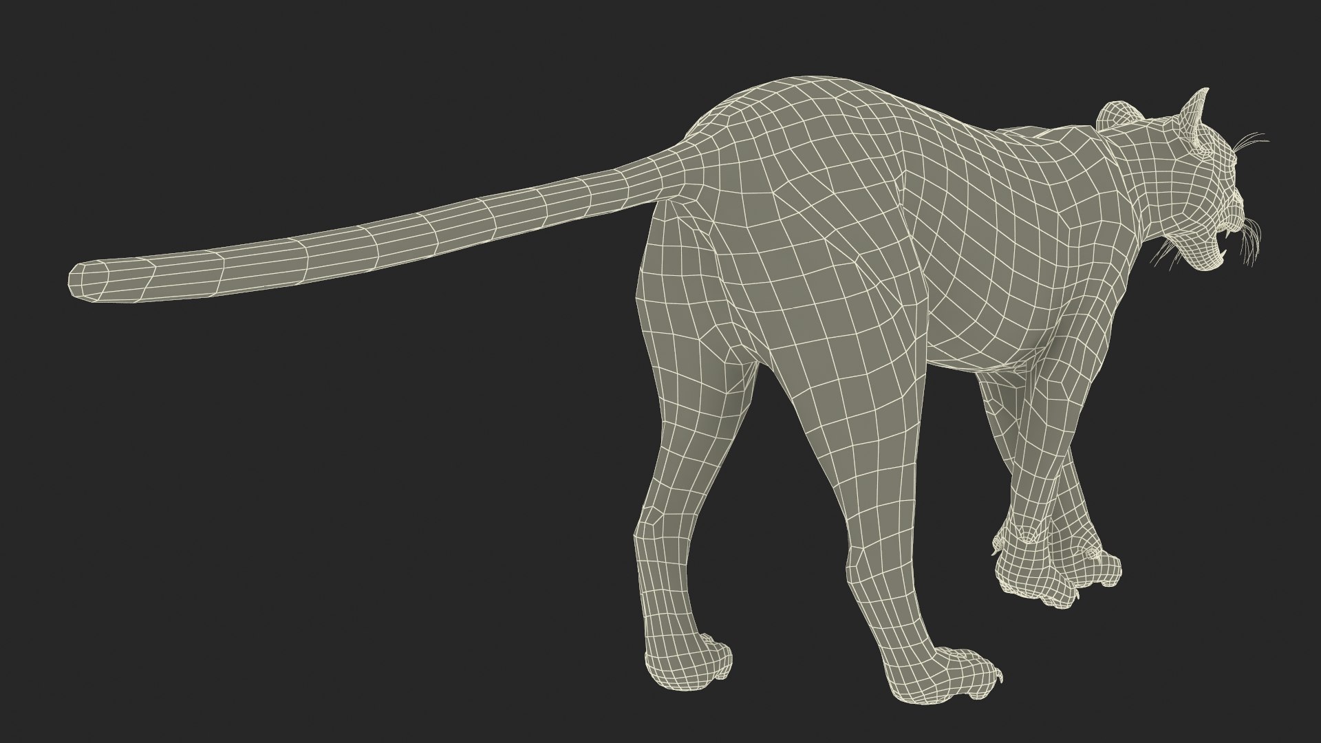 Snarling Puma Model - TurboSquid 2230666