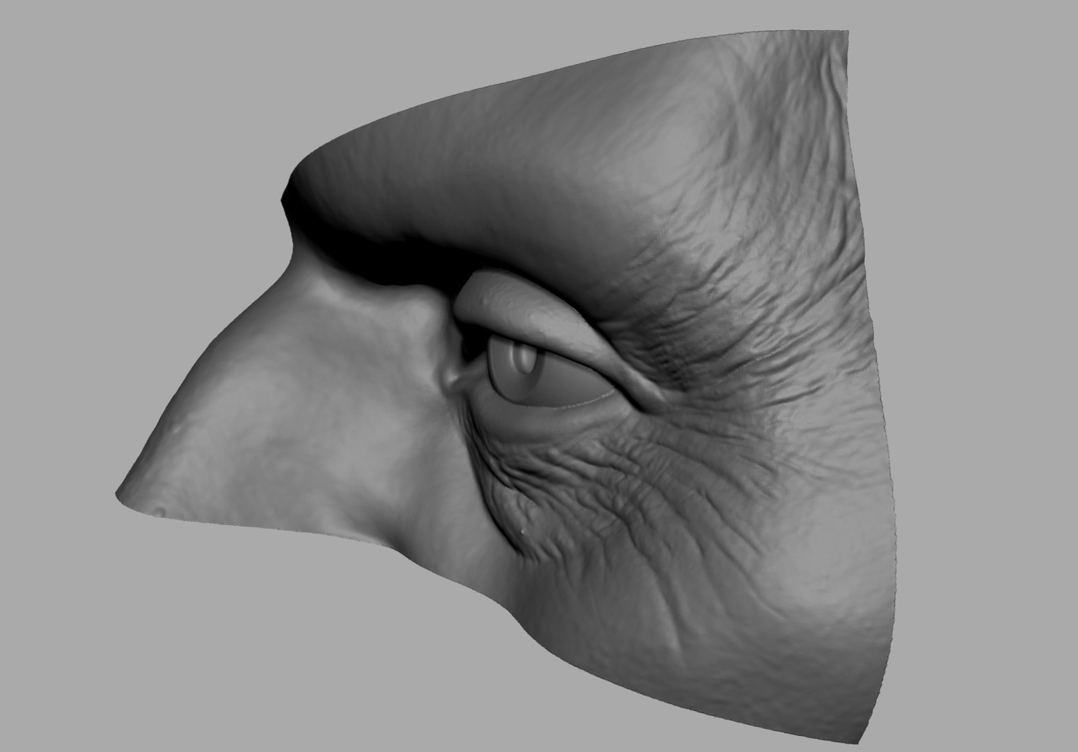 Eye Eyelids 3dprint 3D Model - TurboSquid 1415852