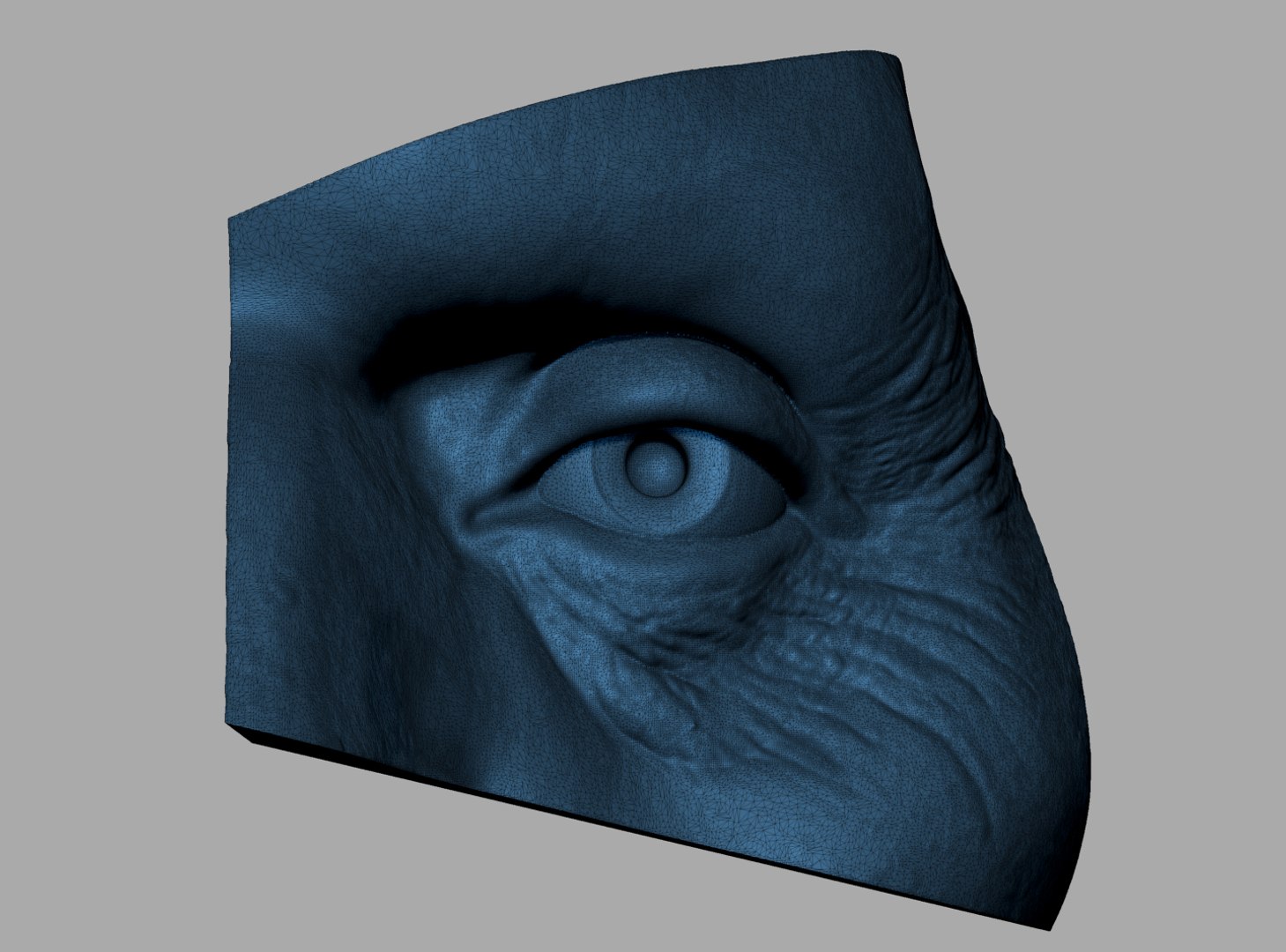 Eye Eyelids 3dprint 3D Model - TurboSquid 1415852