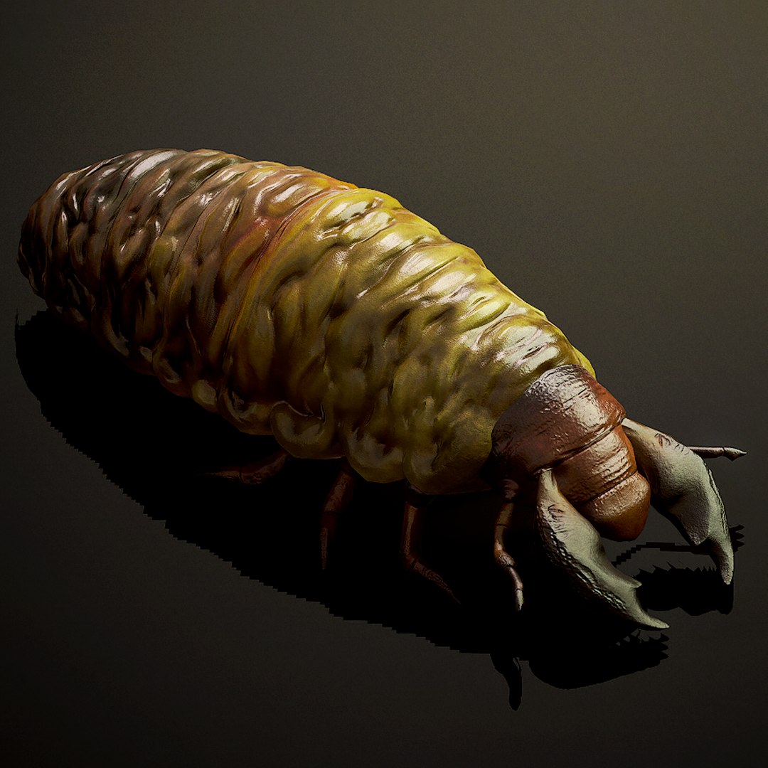Larva Insect2 3D Model - TurboSquid 2248729