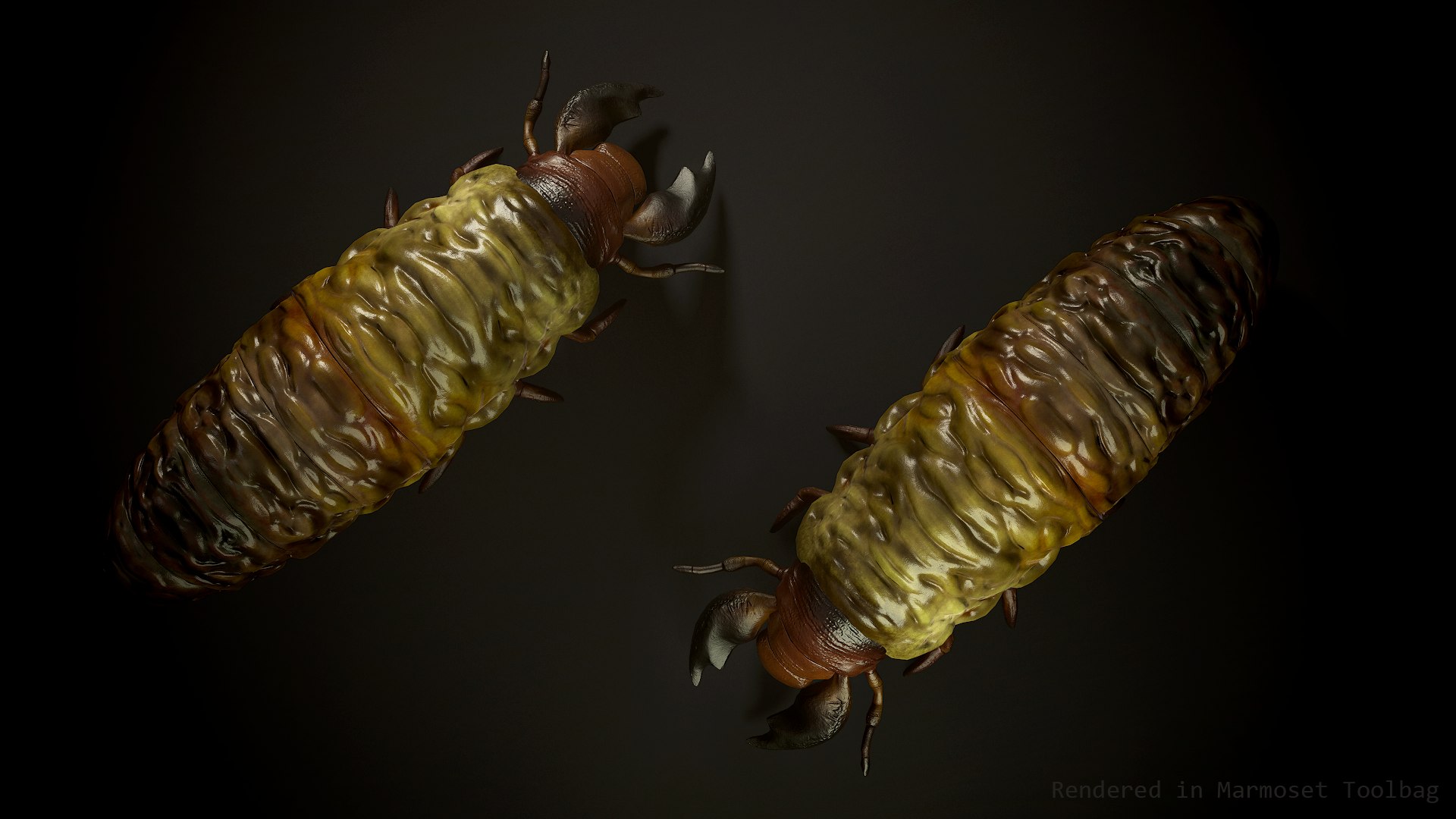 Larva Insect2 3D Model - TurboSquid 2248729