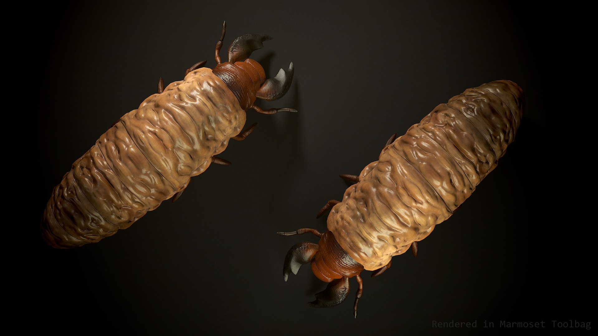 Larva Insect2 3D Model - TurboSquid 2248729