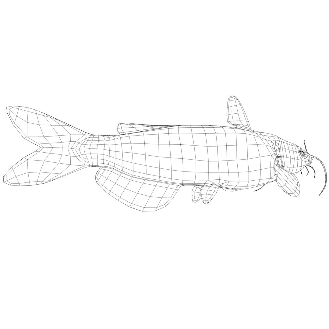 Realistic Channel Catfish 3d 3ds