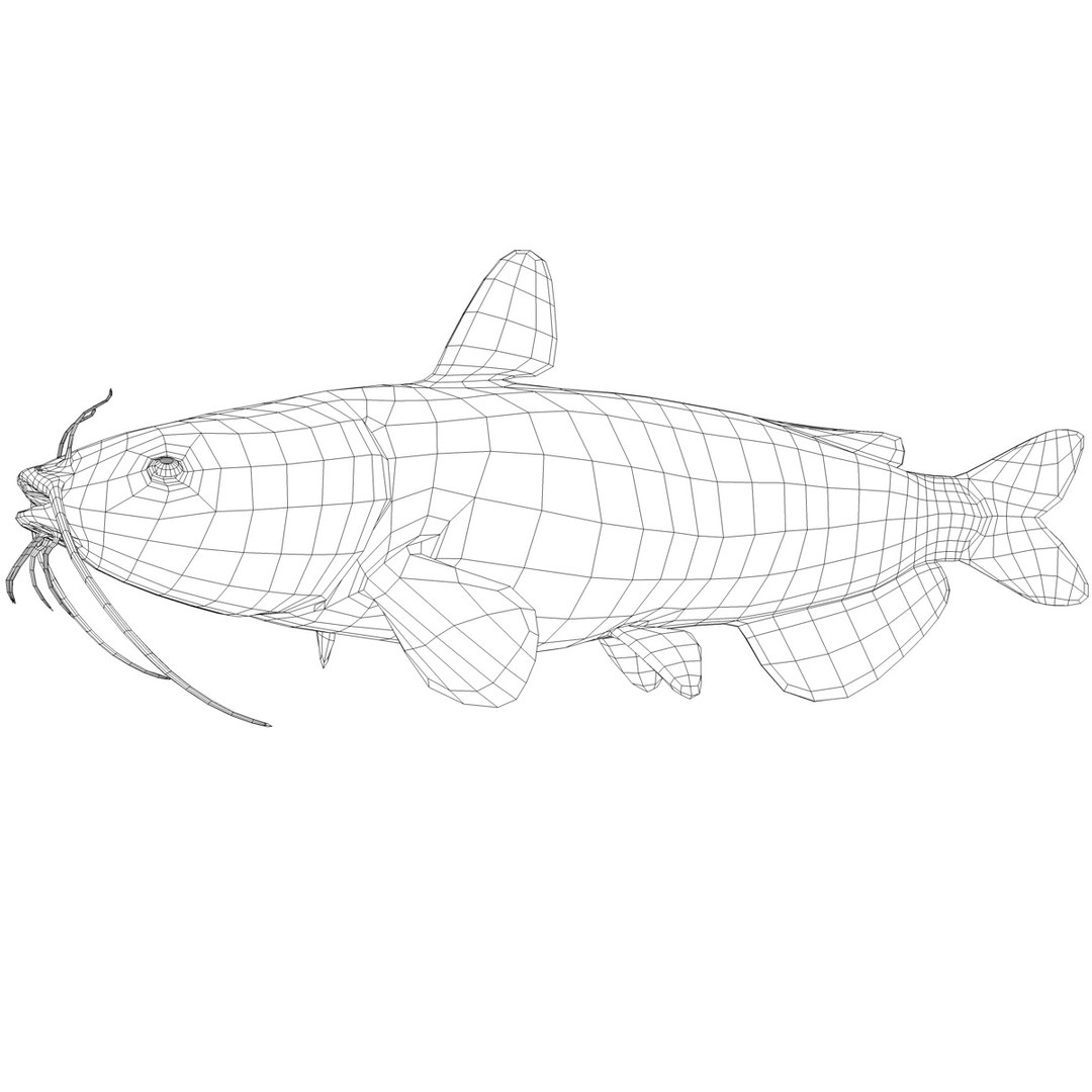Realistic Channel Catfish 3d 3ds