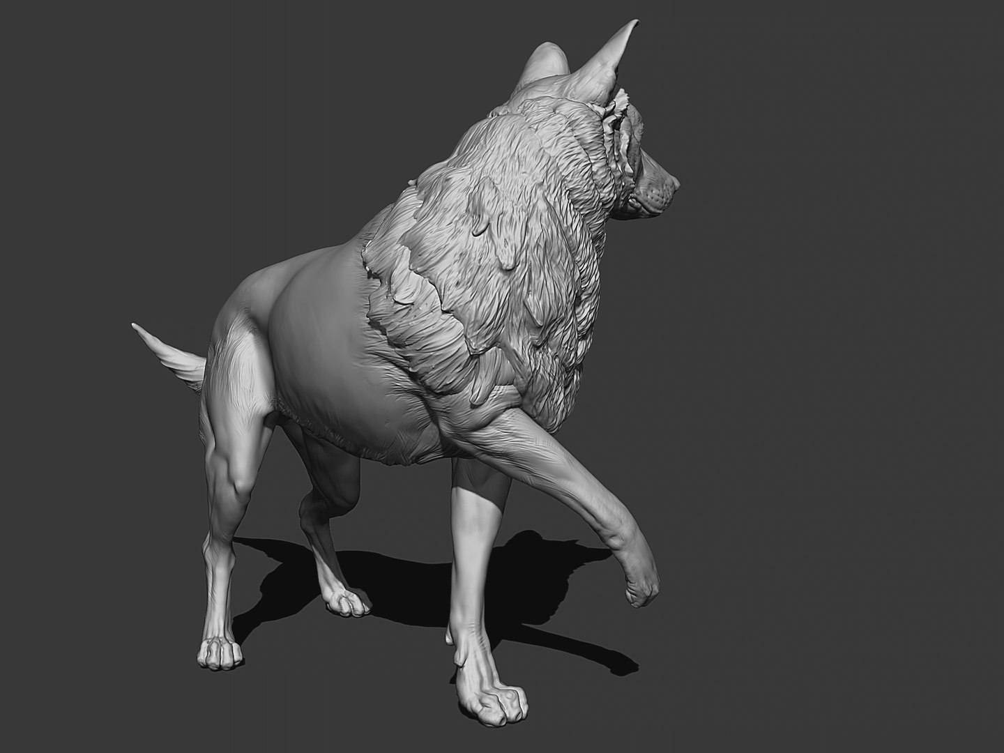 German Shepered 001 model - TurboSquid 2157280