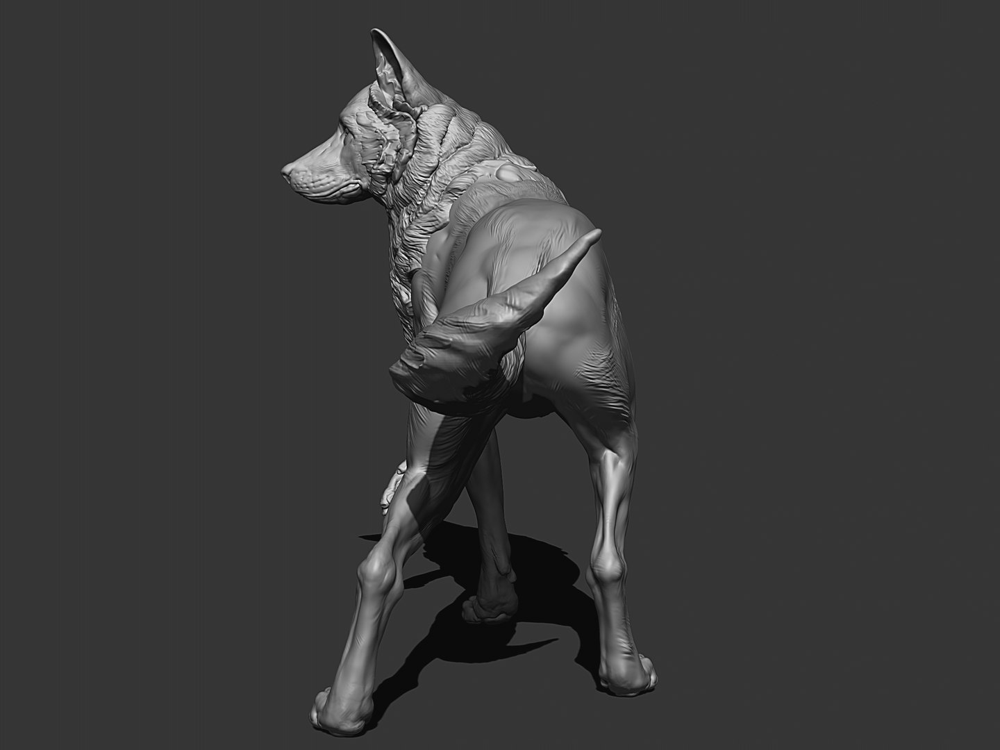 German Shepered 001 model - TurboSquid 2157280