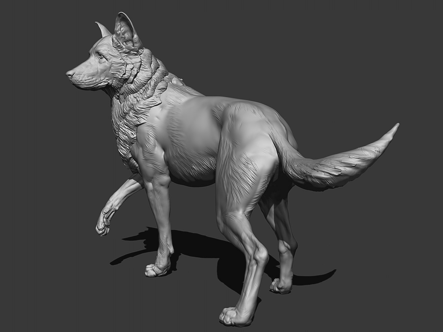 German Shepered 001 model - TurboSquid 2157280