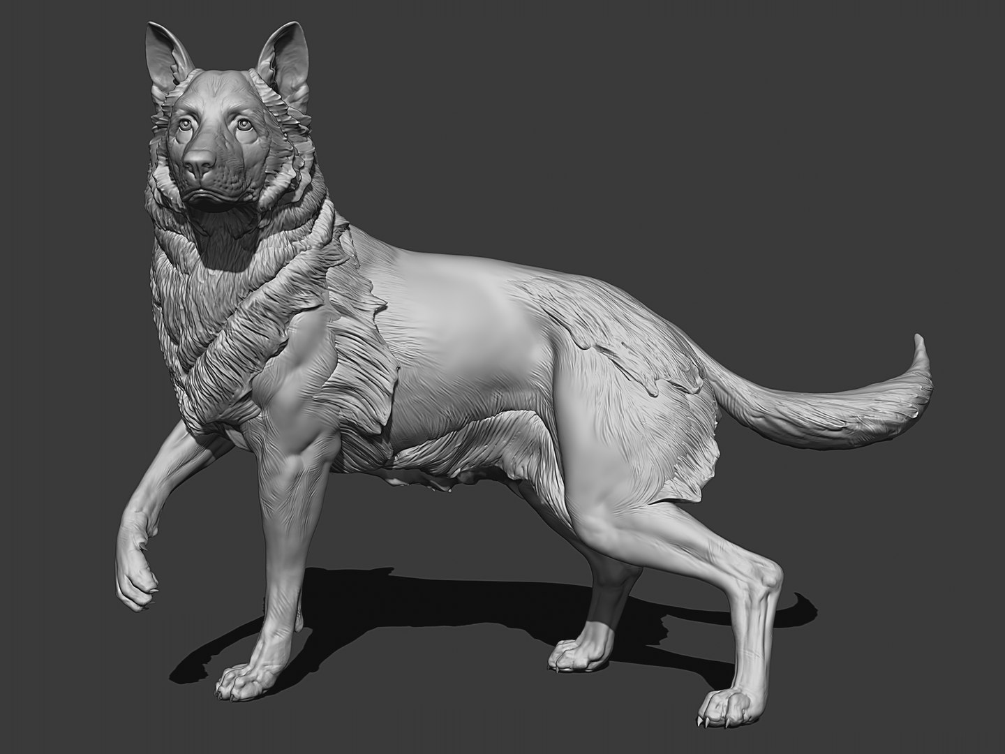 German Shepered 001 model - TurboSquid 2157280