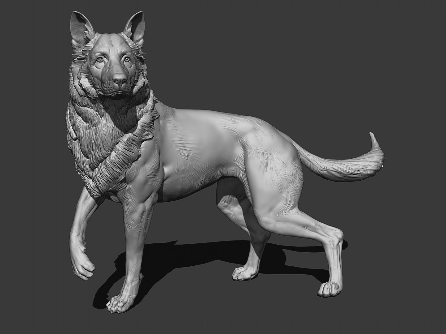 German Shepered 001 model - TurboSquid 2157280