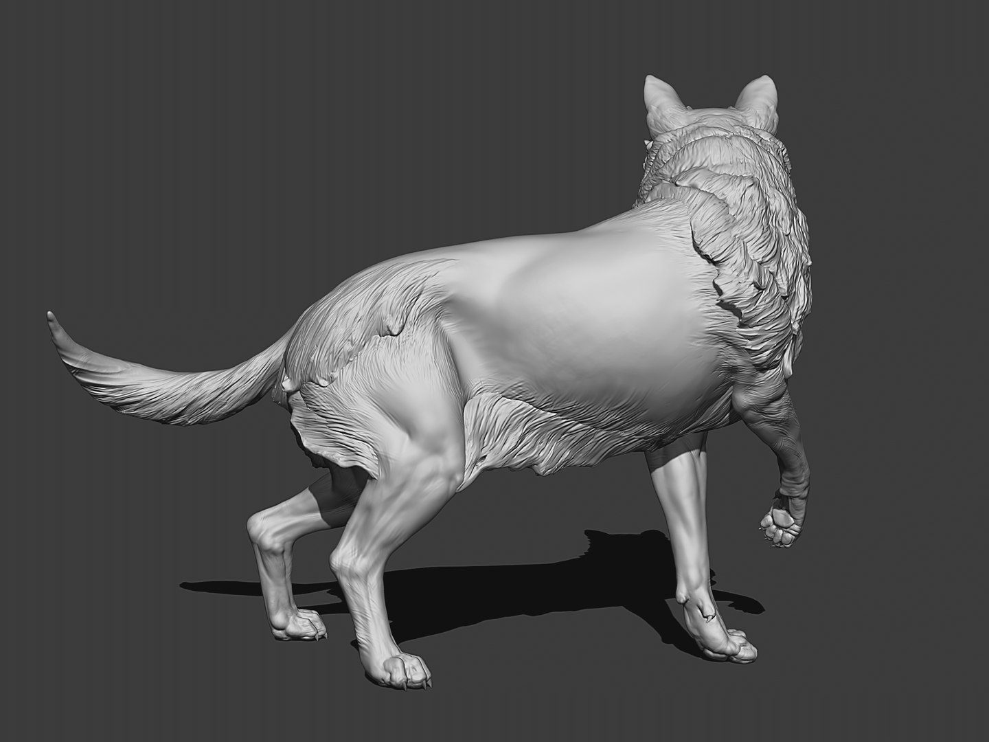 German Shepered 001 model - TurboSquid 2157280