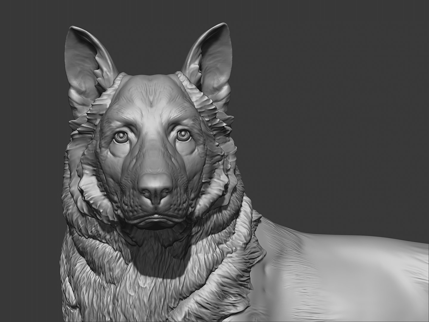 German Shepered 001 model - TurboSquid 2157280