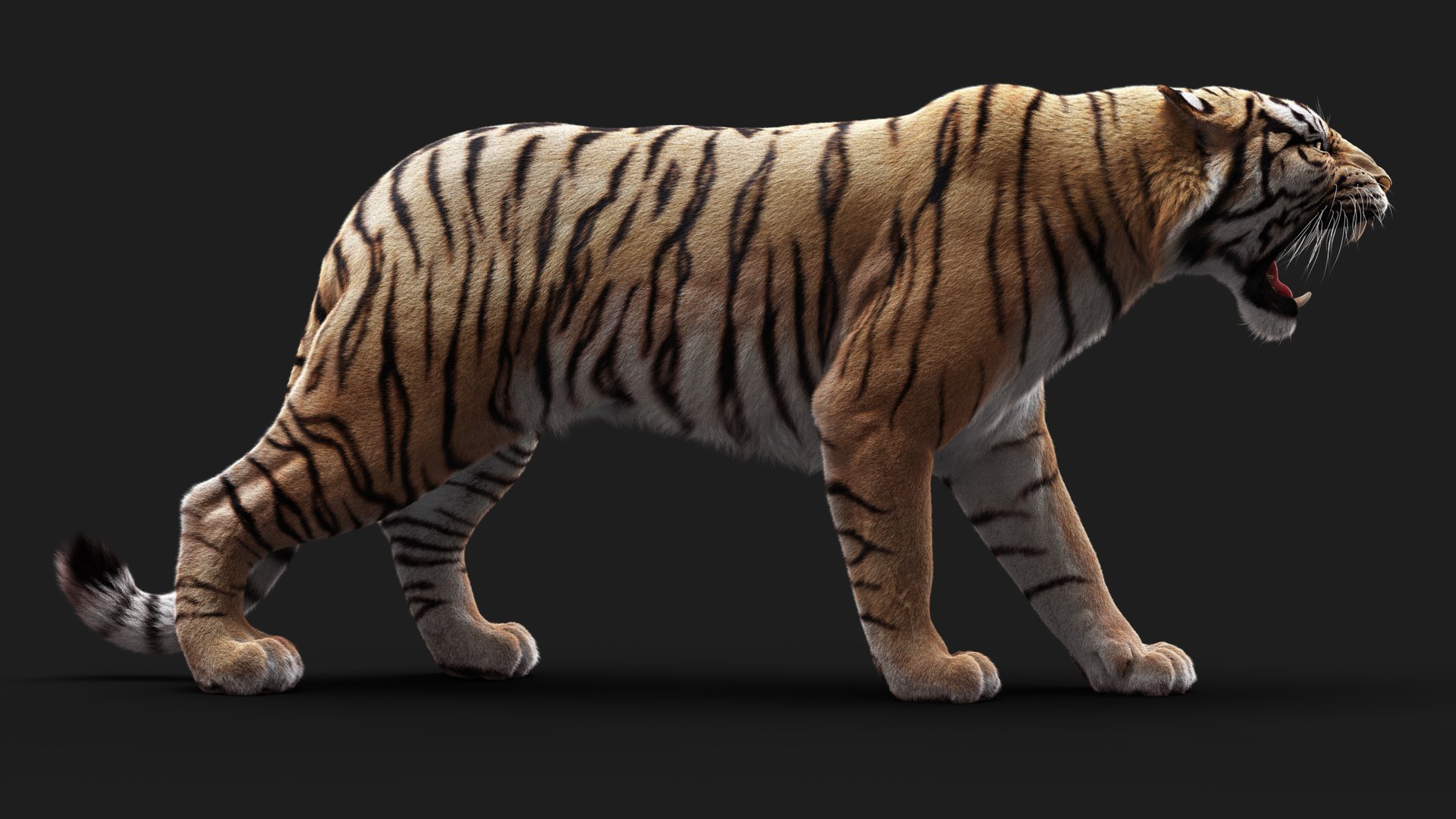 3D Model Bengal Tiger RIG Yeti - TurboSquid 2123936