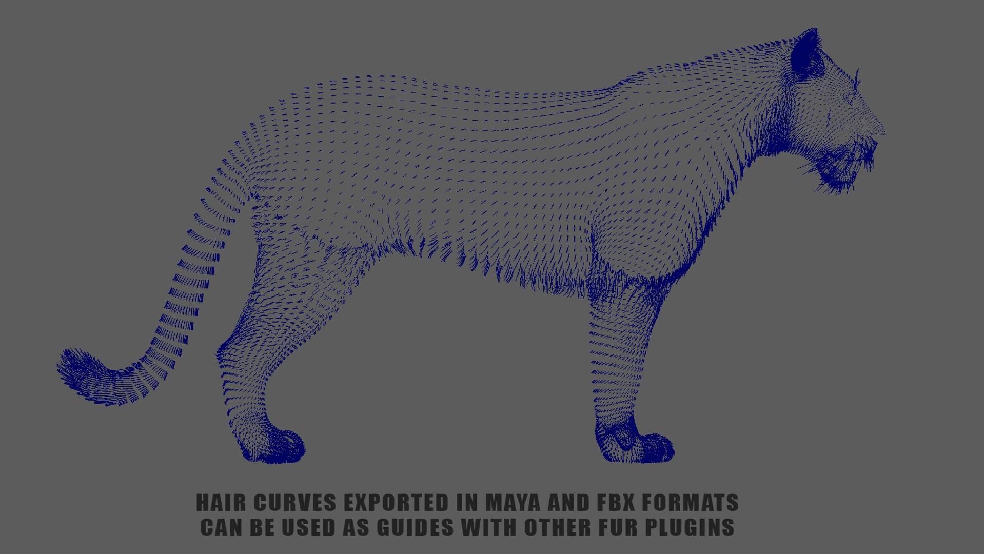 3D Model Bengal Tiger RIG Yeti - TurboSquid 2123936