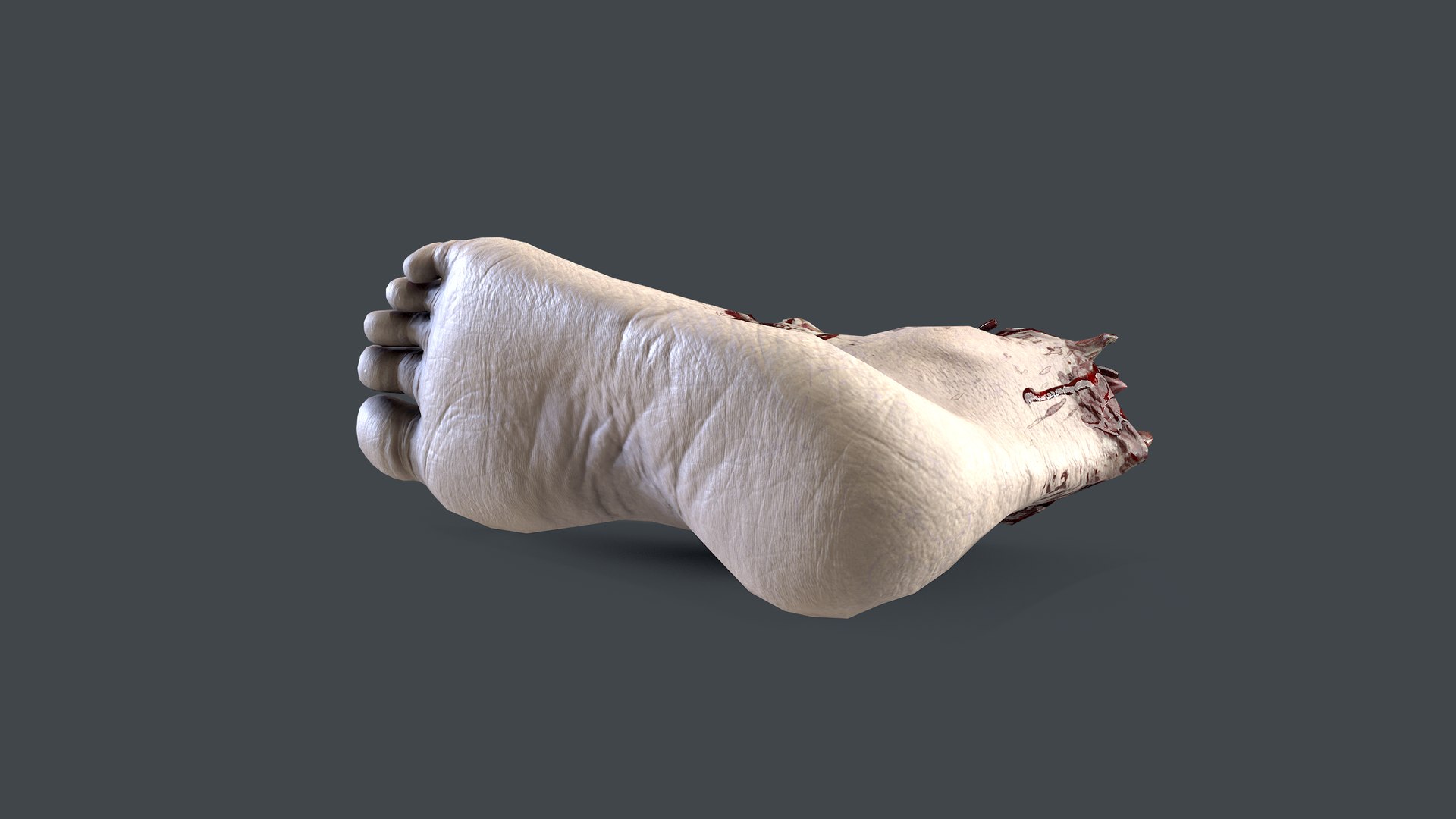 Severed Foot 3D Model - TurboSquid 1923654