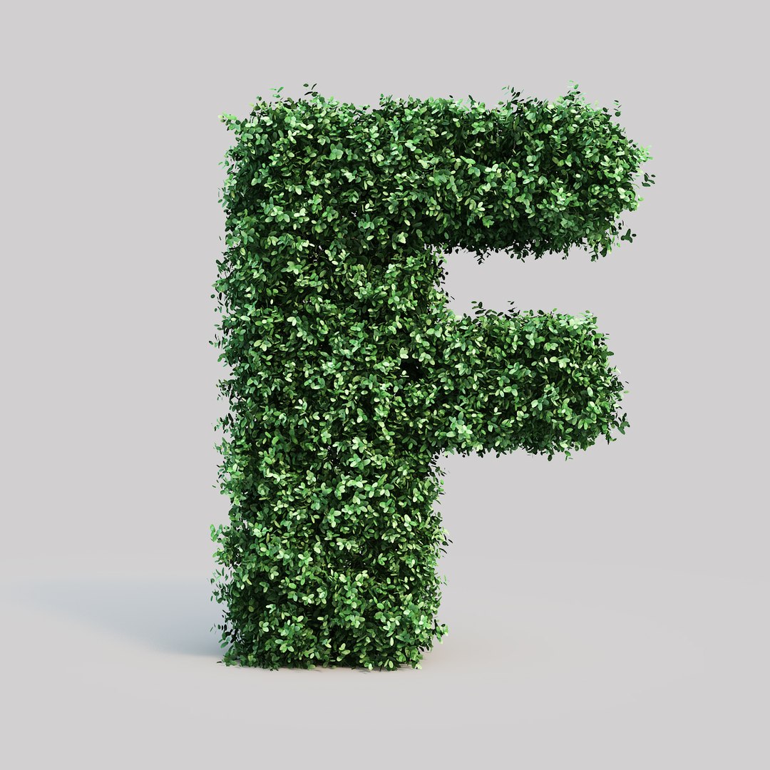 alphabet f buxus max